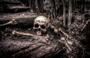 Skeletonization: The Final Stage of Decomposition - Crime Scene Cleanup