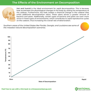 How The Environment Affects Decomposition | Crime Scene Cleanup