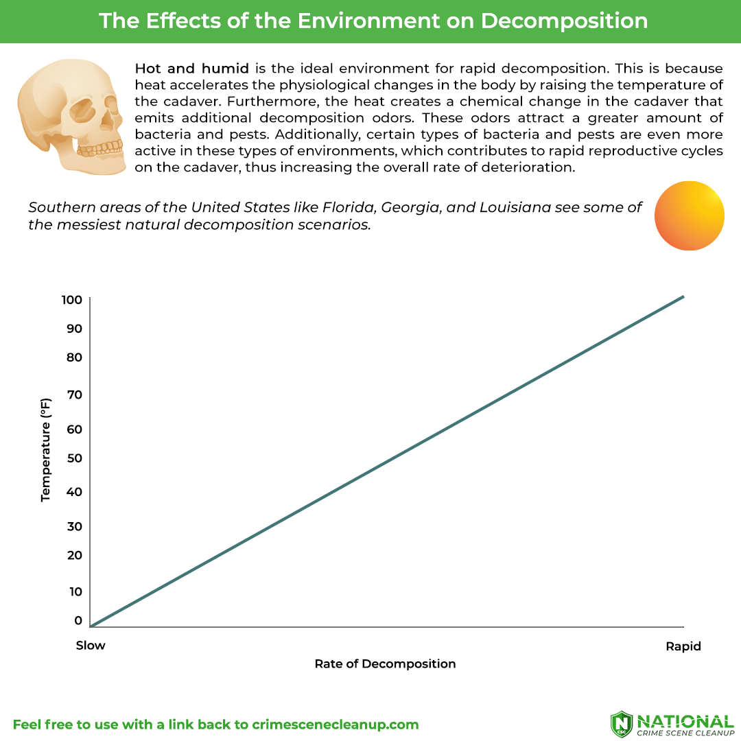 How The Environment Affects Decomposition Crime Scene Cleanup