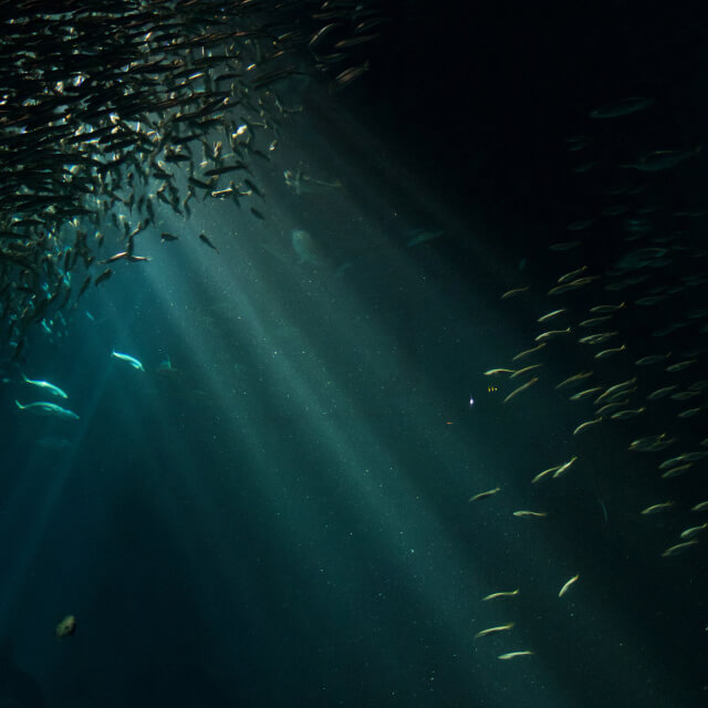 How The Environment Affects Decomposition | Crime Scene Cleanup