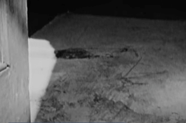 Kitty Genovese: Who She Was and What Really Happened | Crime Scene Cleanup